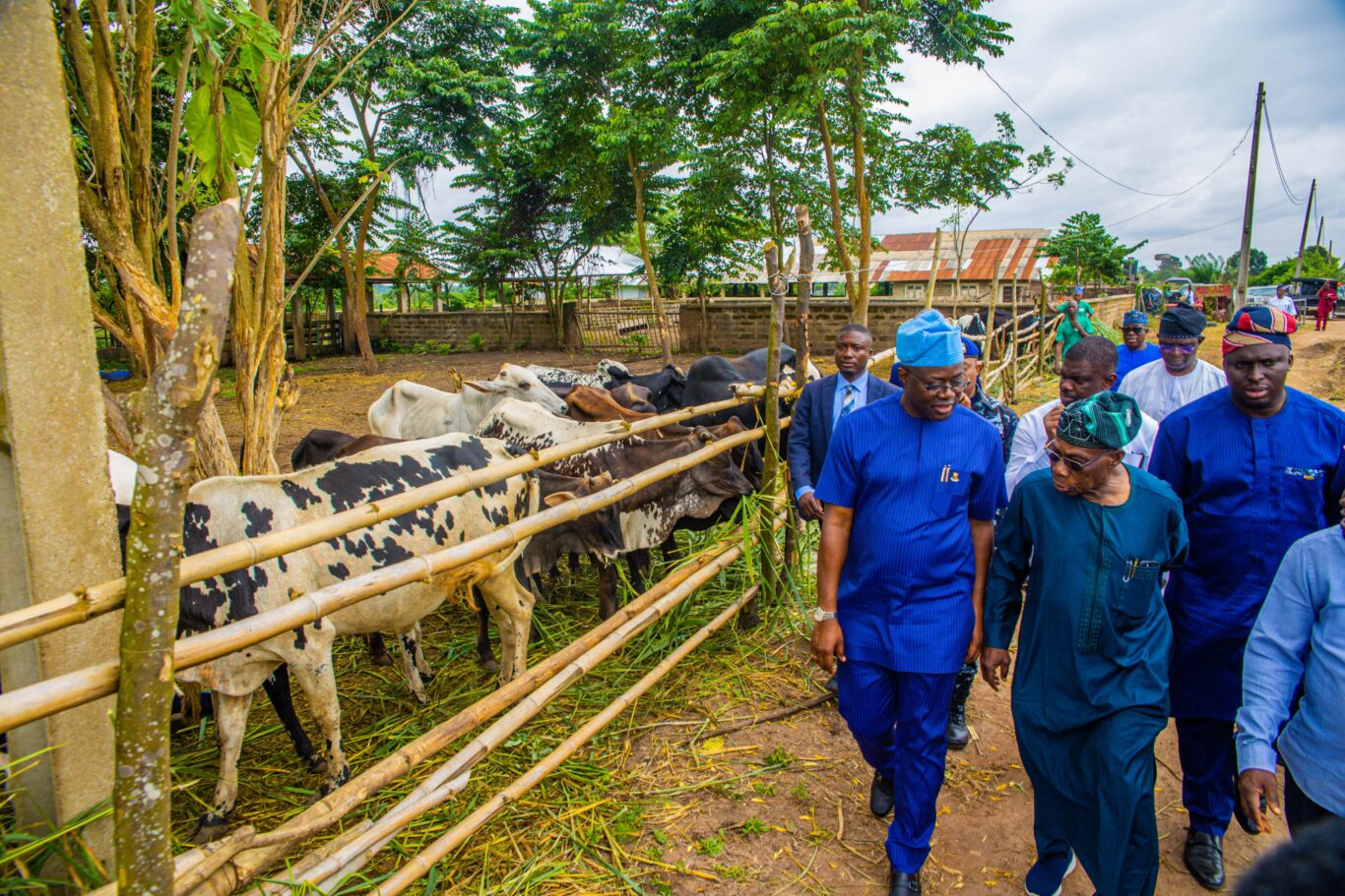 FASOLA FARM: THE REBIRTH OF AWOLOWO’S ANIMAL HUSBANDRY INITIATIVES BY ...